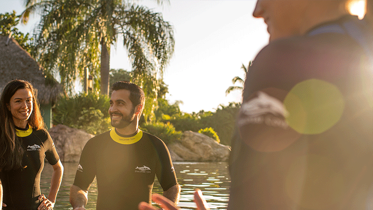 Dolphin Lagoon - Swim with Dolphins in Orlando | Discovery Cove