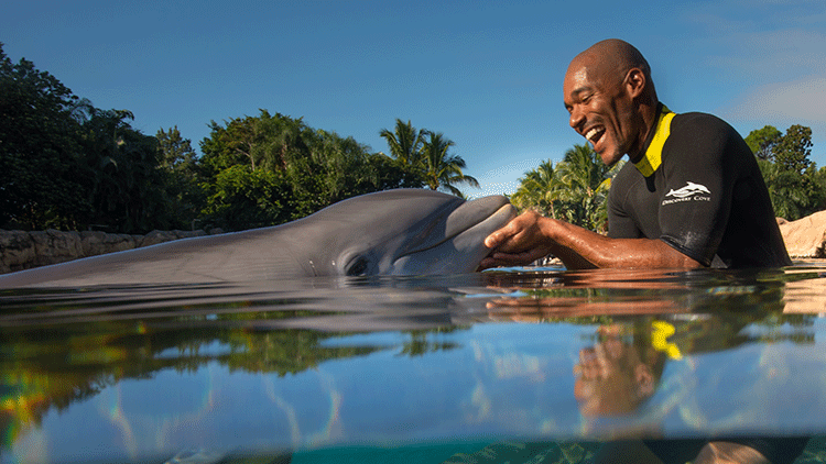 Dolphin Lagoon - Swim with Dolphins in Orlando | Discovery Cove