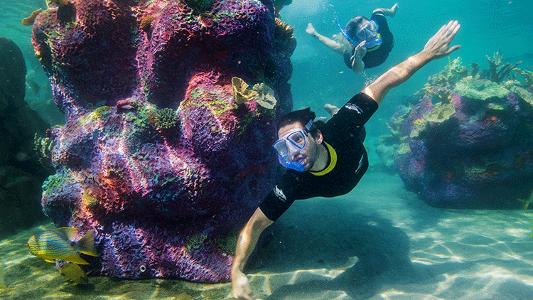 Discovery Cove Grand Reef - Snorkeling in Orlando | Discovery Cove