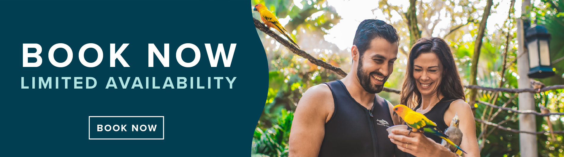 Discovery Cove Orlando - Limited Availability: Book Now